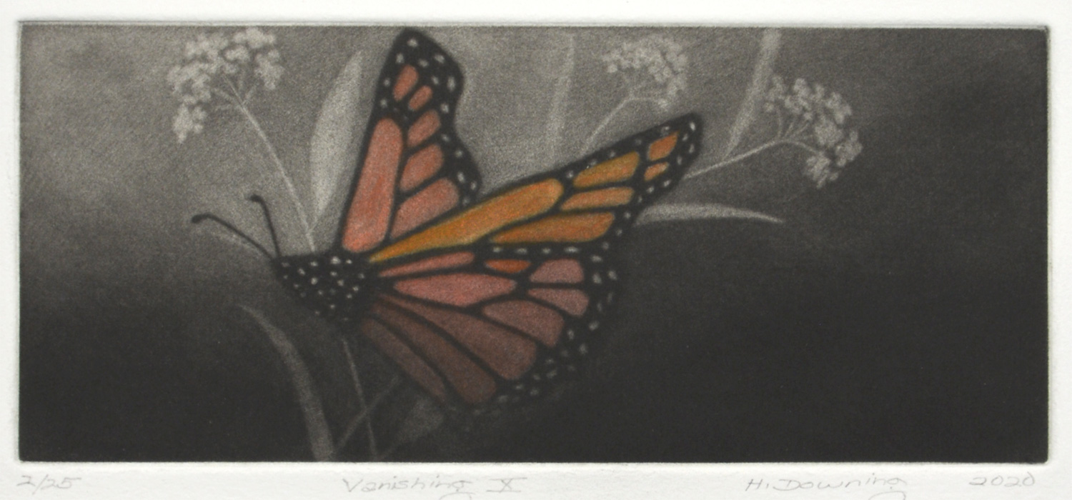Vanishing X – Monarch Butterfly – The Ren Brown Collection Gallery