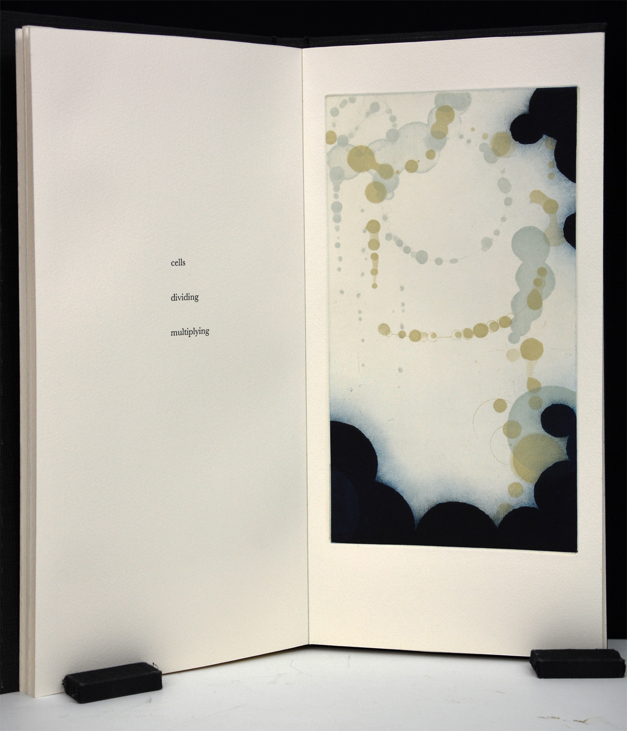 Origin – Beginning Book – The Ren Brown Collection Gallery
