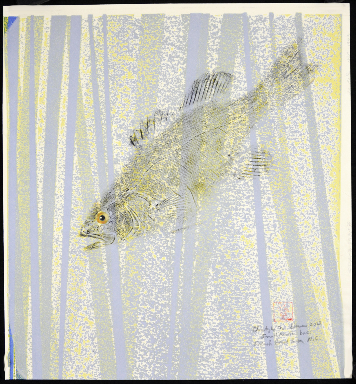 Small-mouth Bass in the Weeds – The Ren Brown Collection Gallery