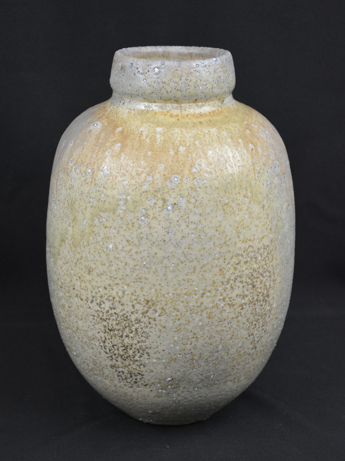 Vase #201 – The Ren Brown Collection Gallery