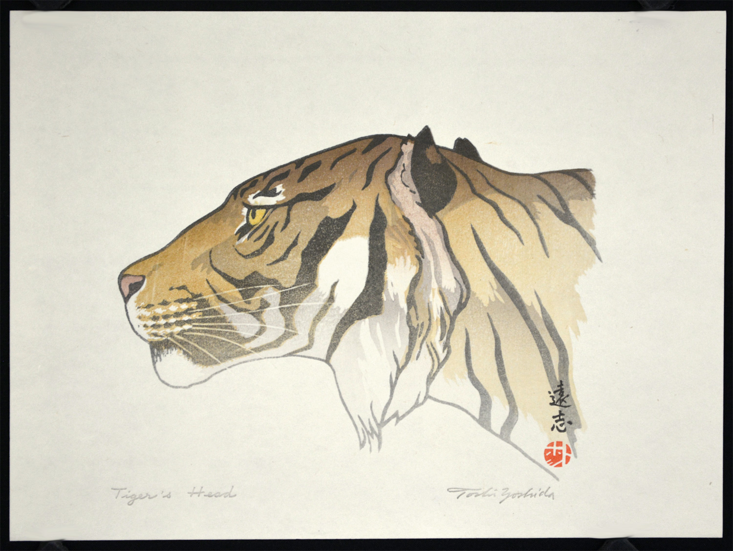 Tiger’s Head – The Ren Brown Collection Gallery